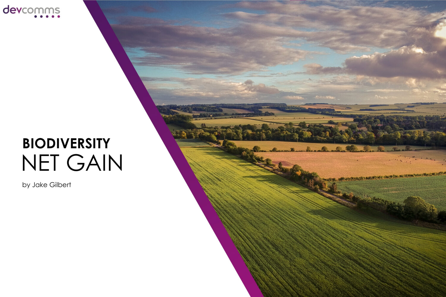Biodiversity Net Gain | DevComms